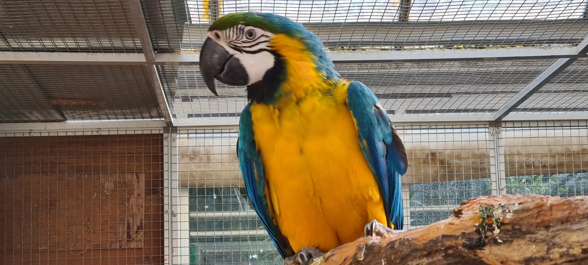 Hald Ege Miniature Forest - Travel in Denmark