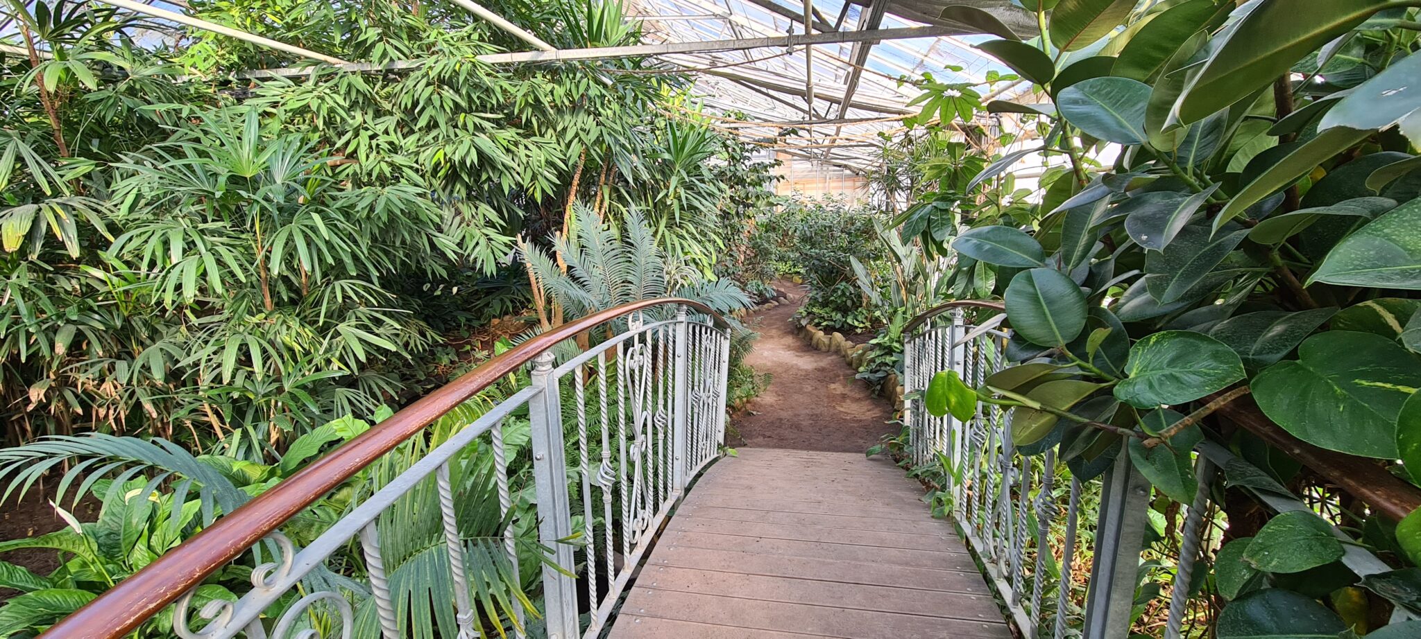 Hald Ege Miniature Forest - Travel in Denmark